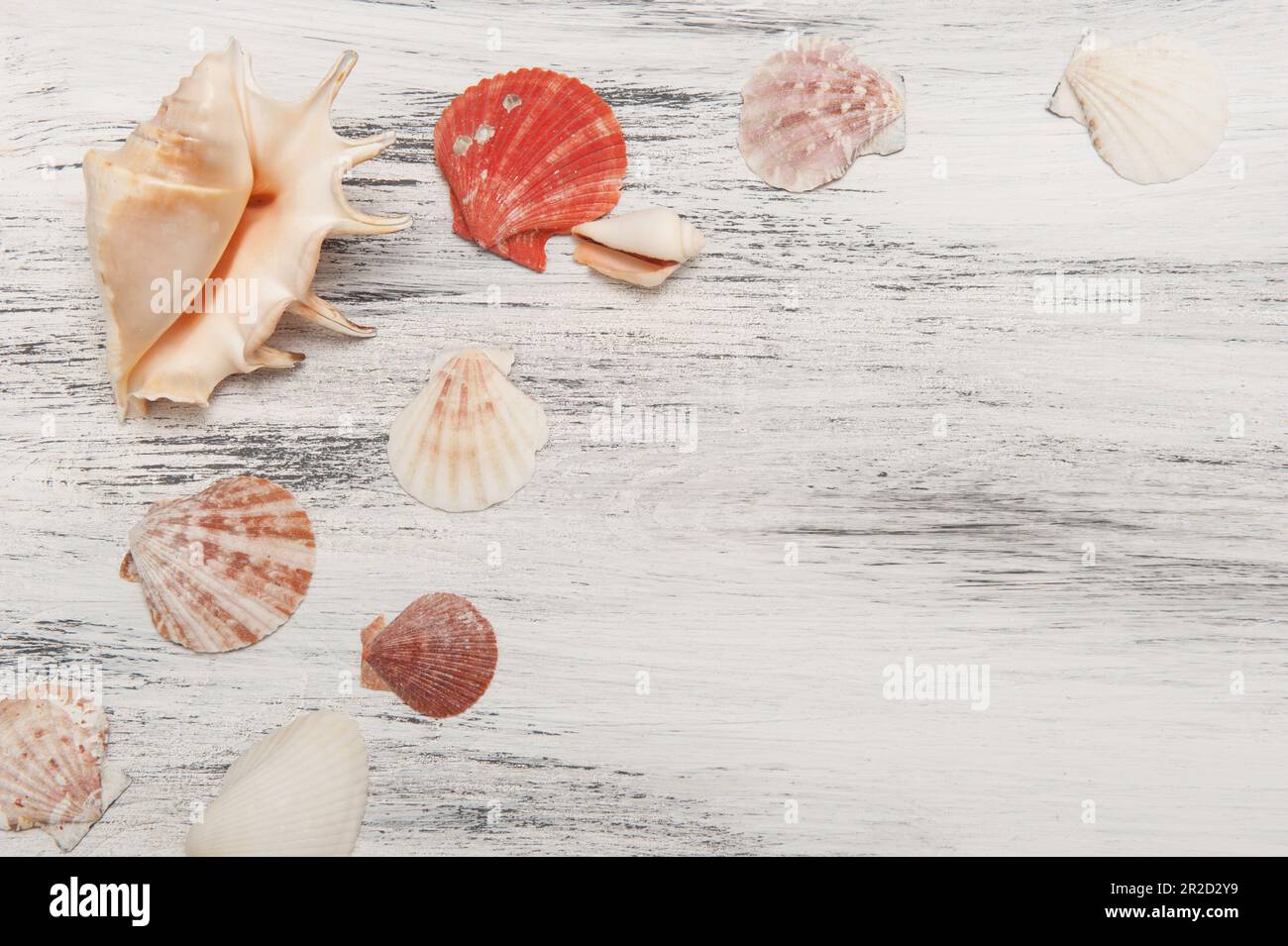 Abstract gray wooden nautical background with starfish, shells and rope ...