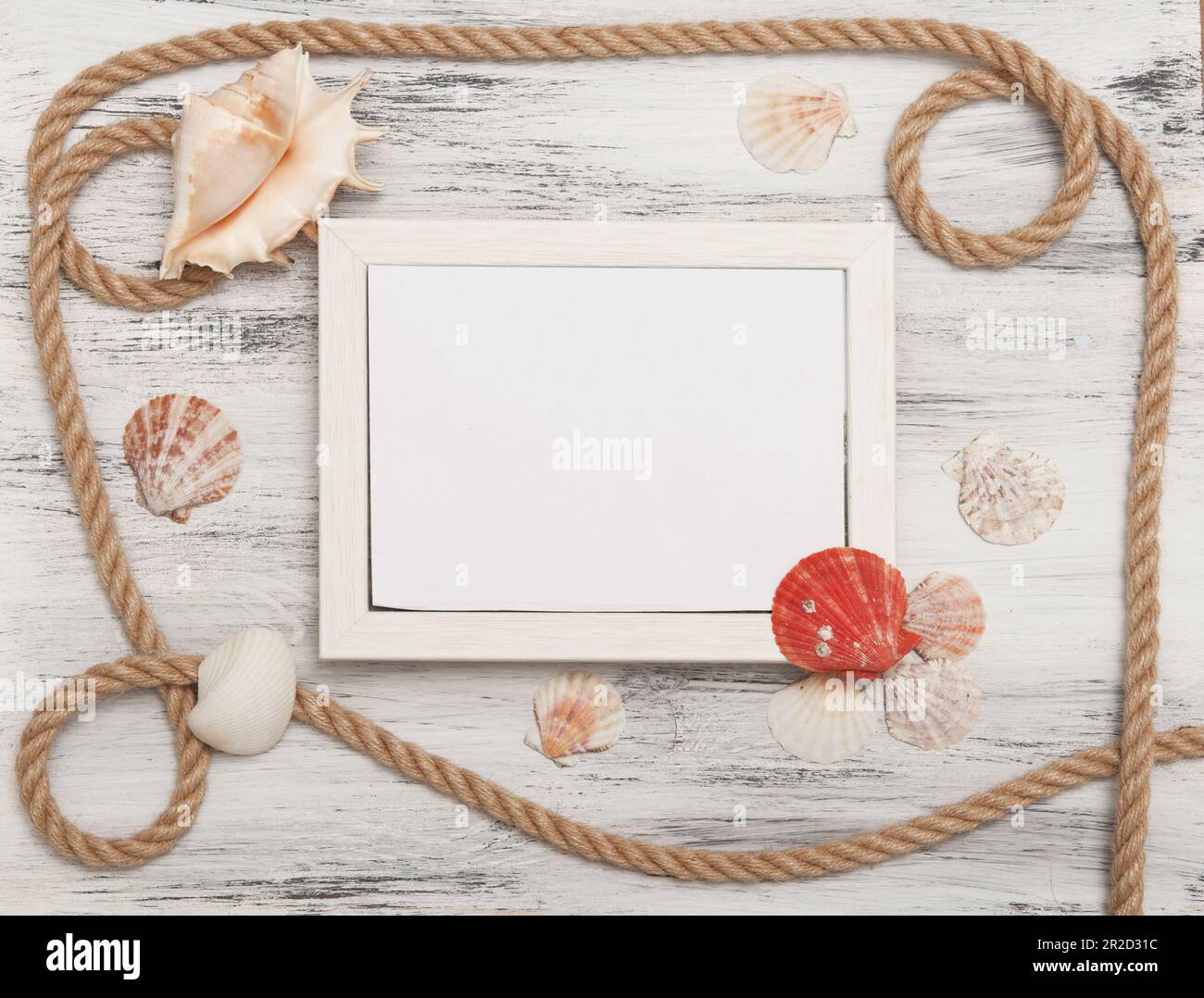 Abstract gray wooden nautical background with starfish, shells and rope ...