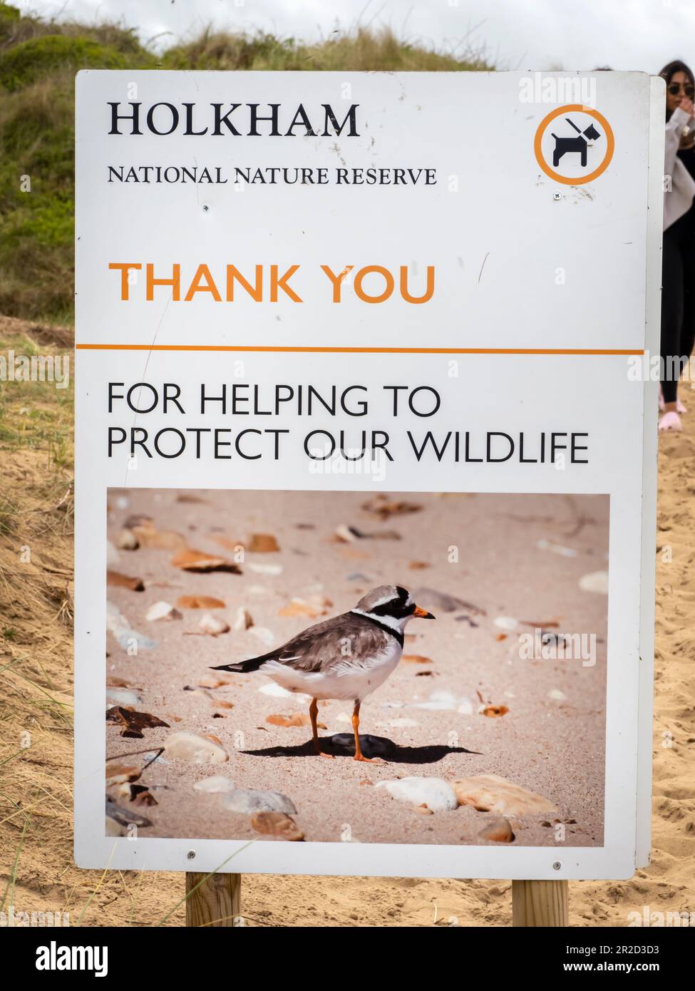A sign thanking people for helping to protect wildlife on the beach at ...