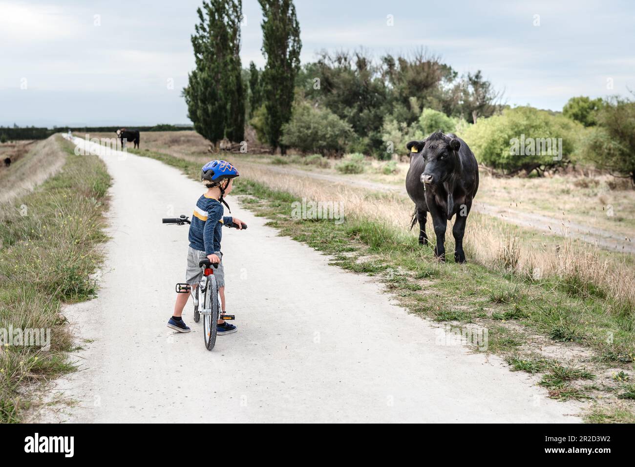 Ride him cow boy hi-res stock photography and images - Alamy