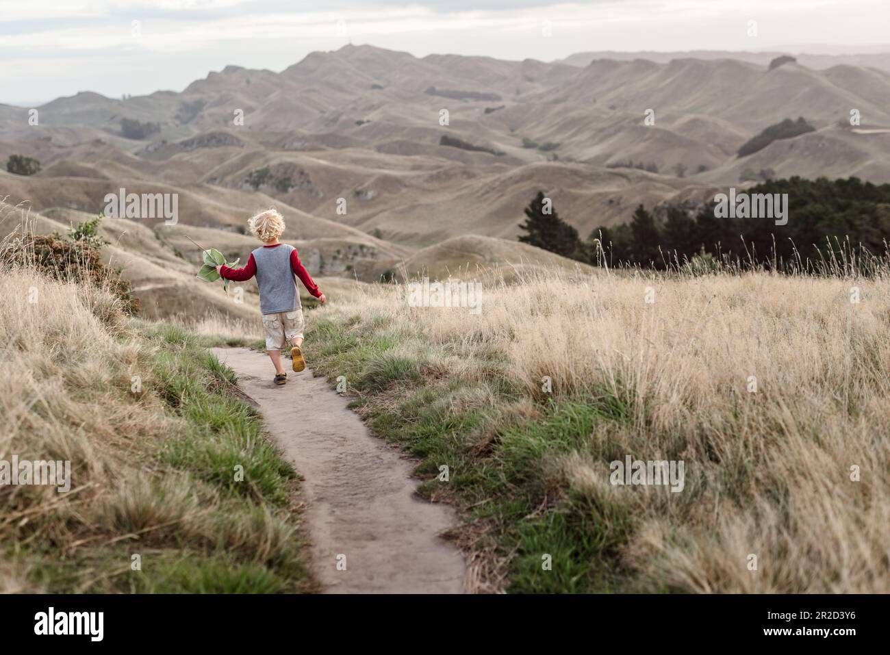 Young child running on a scenic path in New Zealand Stock Photo - Alamy