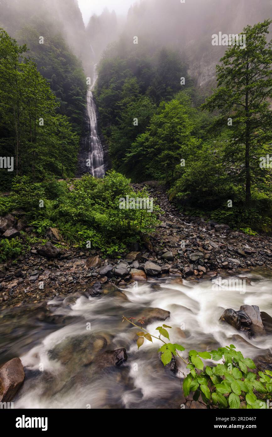 Tar waterfall hi-res stock photography and images - Alamy