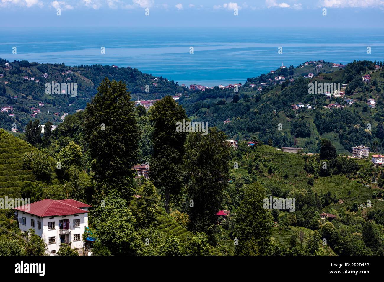 Cayeli hi-res stock photography and images - Alamy