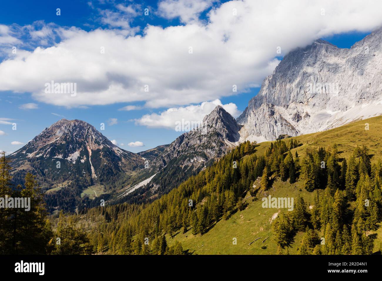 the peaks of the alpine mountains rise above the green forest Stock ...