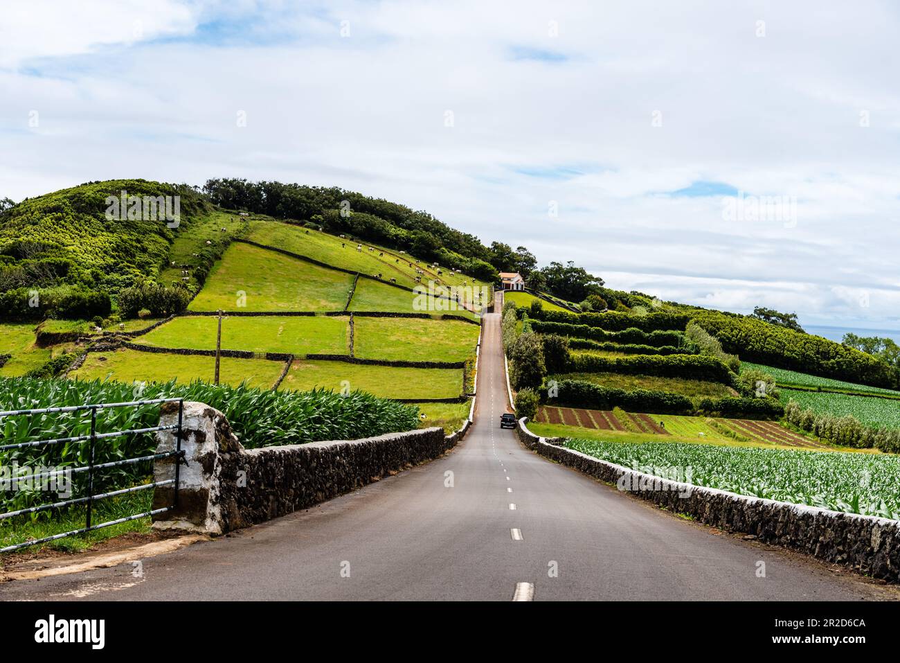 Road through traditional rural landscape in Terceira Island Stock Photo ...