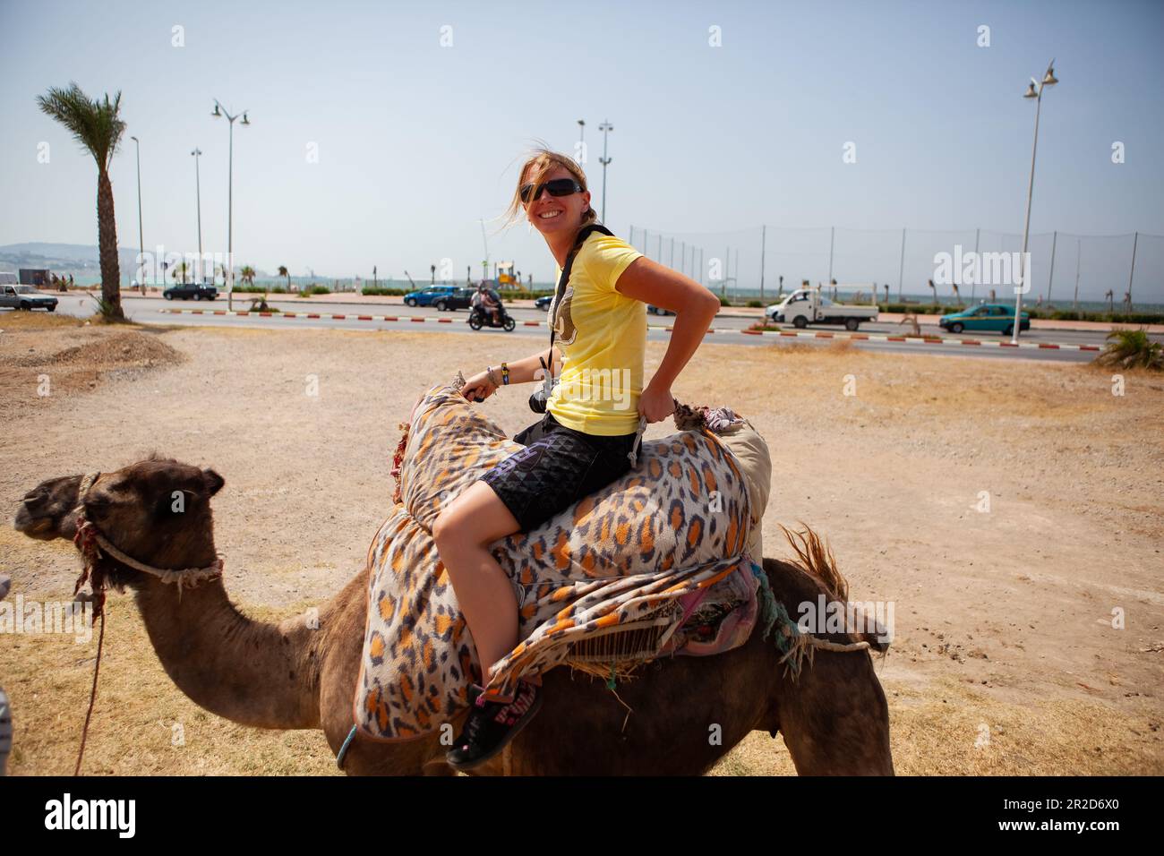 Lady on a camel riding adventure in Tangier Morocco Stock Photo - Alamy