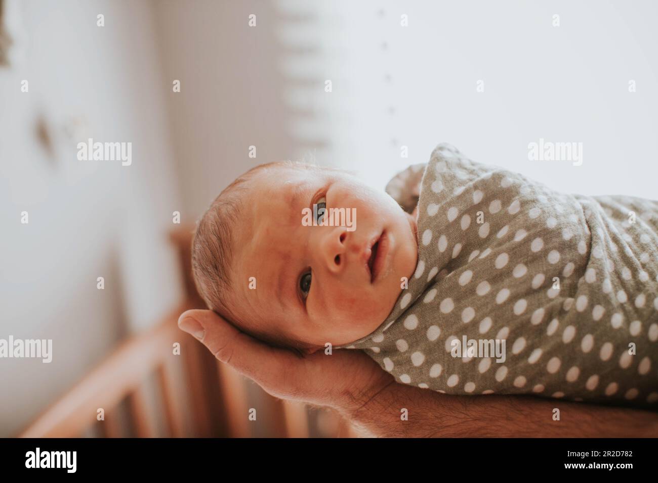 Newborn multiracial Asian infant boy swaddled in a blanket and l Stock ...