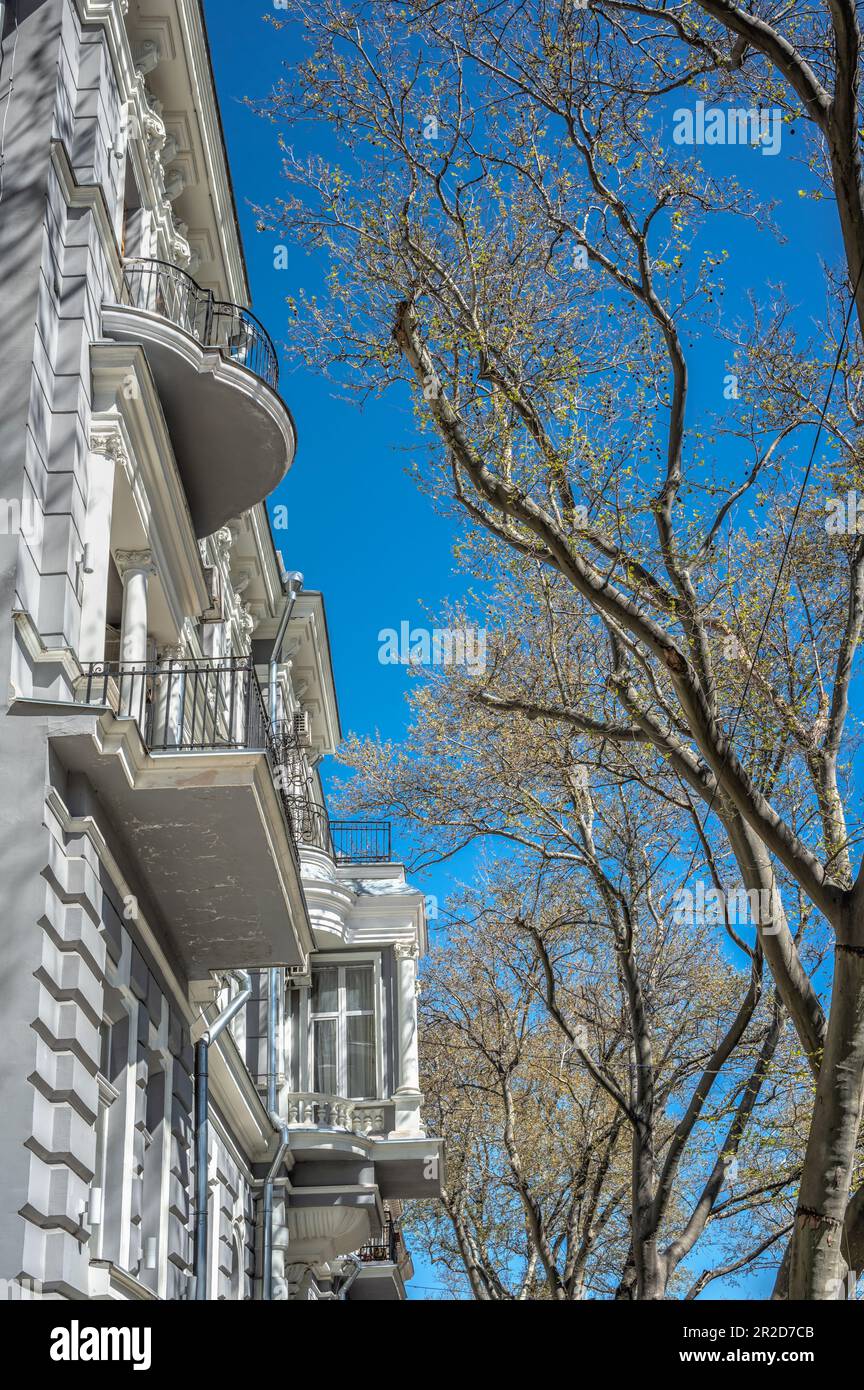 Pushkin street in Odessa, Ukraine Stock Photo - Alamy
