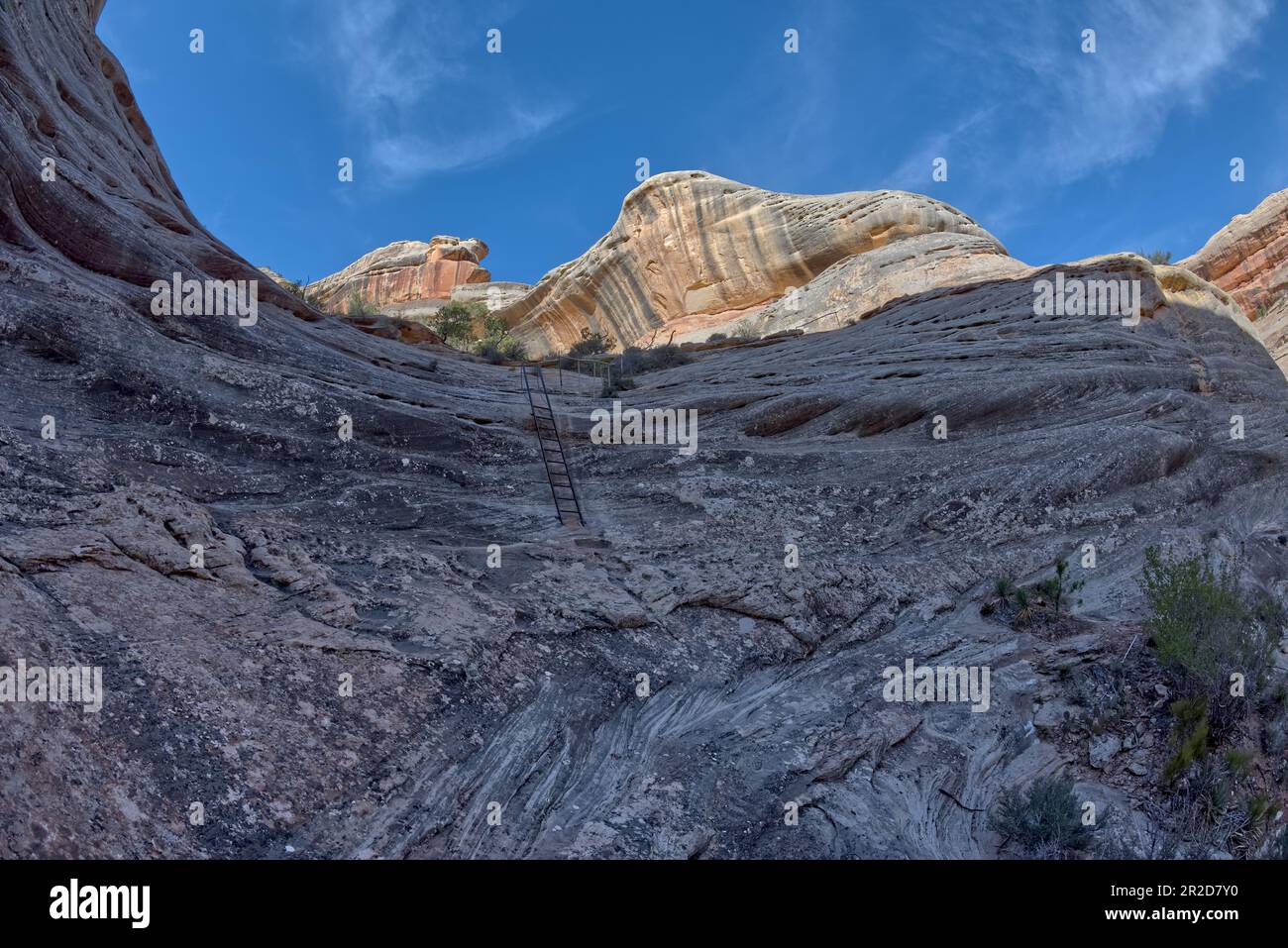 Sipapu Bridge Trail at Natural Bridges National Monument UT Stock Photo ...