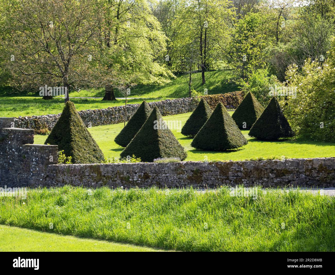 Pyramid topiary hi-res stock photography and images - Alamy