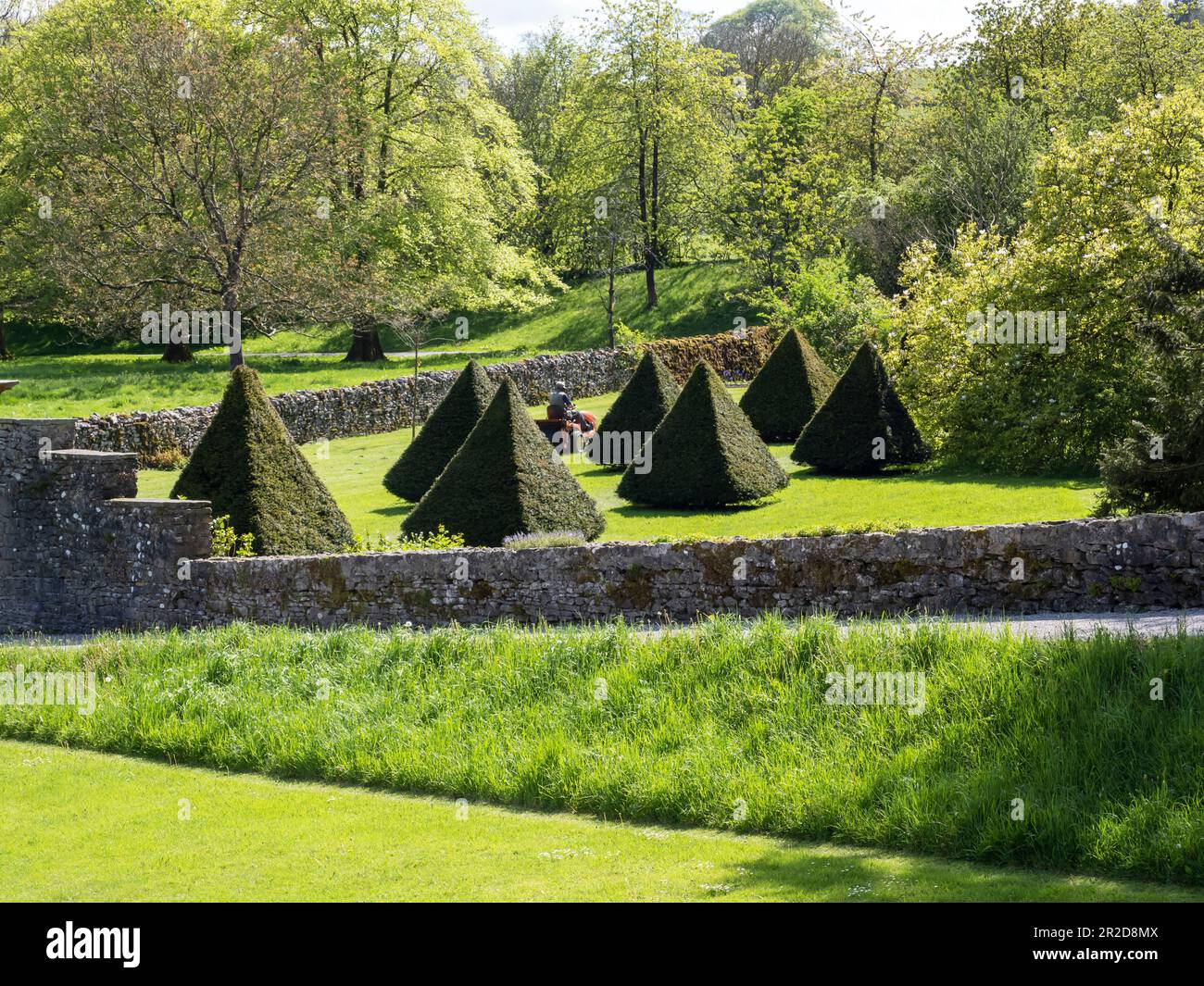 The topiary trees at Sizergh Castle, Kendal, Cumbria, UK Stock Photo ...