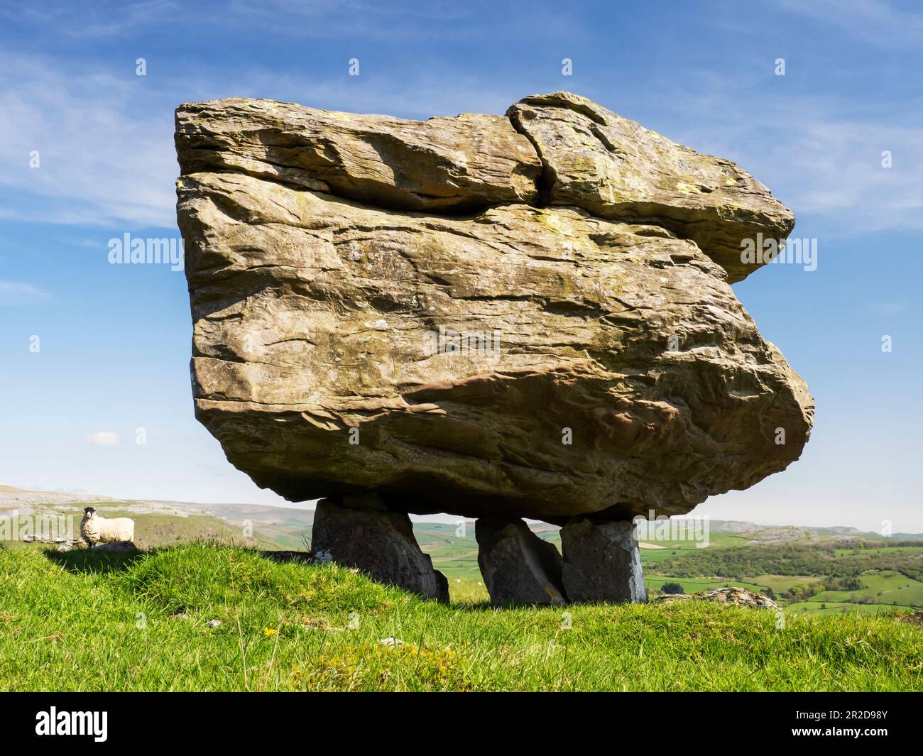 The famous Norber glacial erratics on the southern slopes of Ingleborough, Yorkshire Dales, UK ...