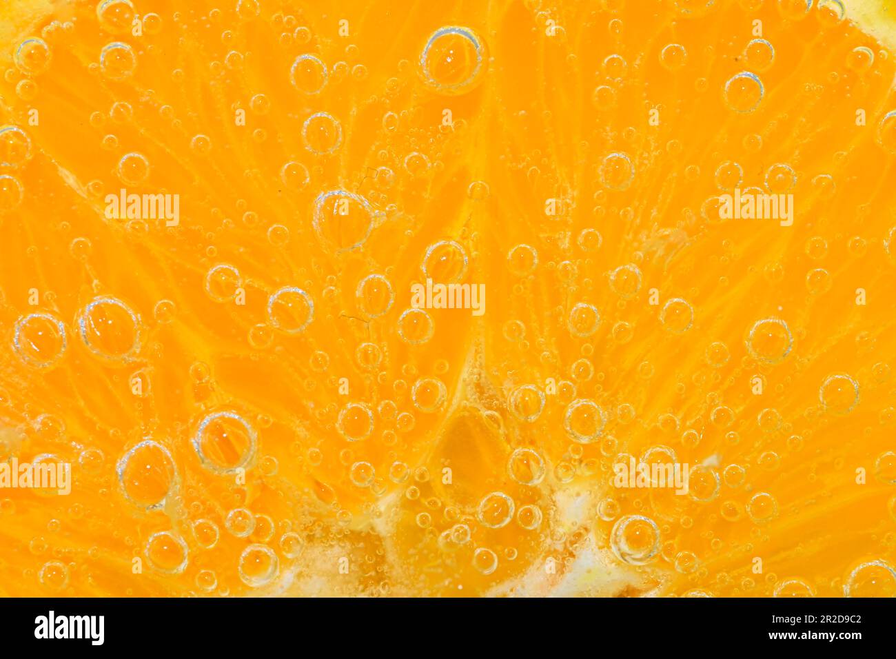 Slice of orange fruit in sparkling water. Orange fruit slice covered by bubbles in carbonated ...