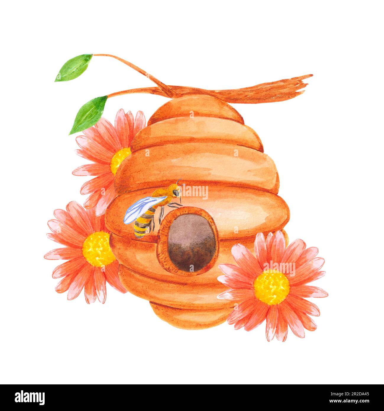 Hand drawn watercolor honey hive composition on white background ...