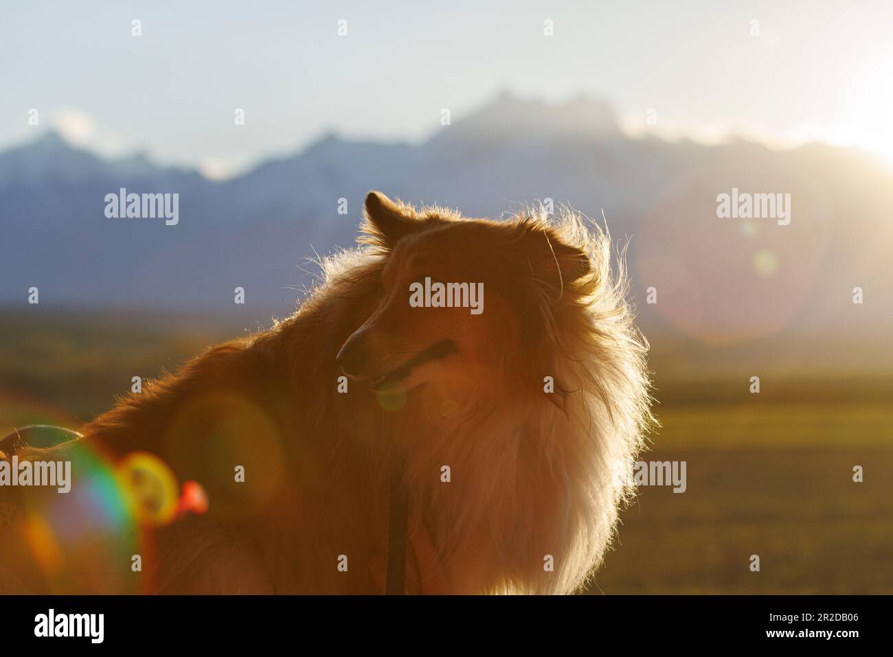 Alpine shepherd portrait hi-res stock photography and images - Alamy