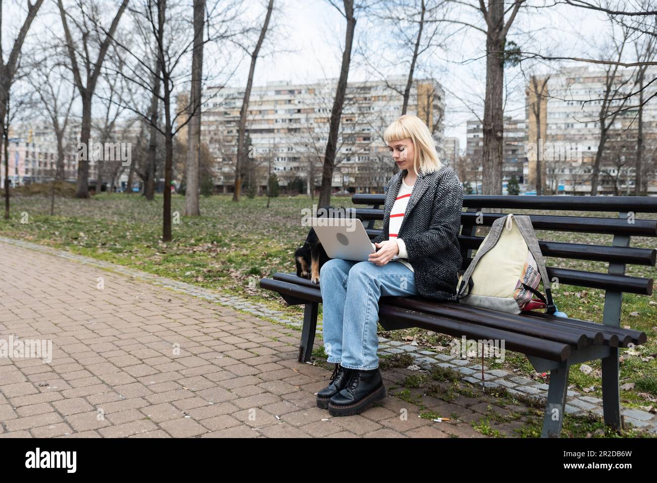 Young university girl sitting on bench with adopted dog working on ...