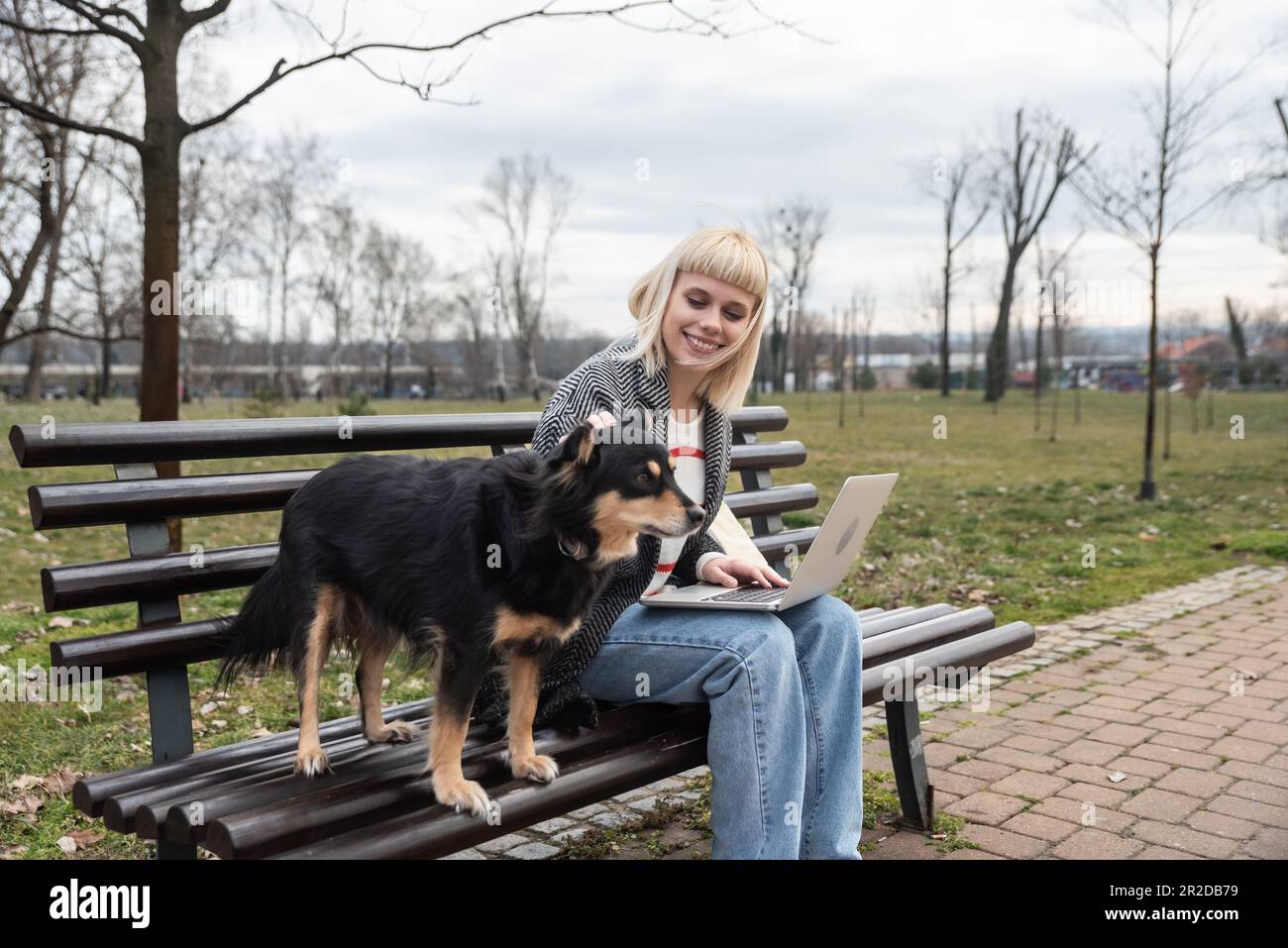 Young university girl sitting outdoor with her adopted dog working on laptop. She left the ...