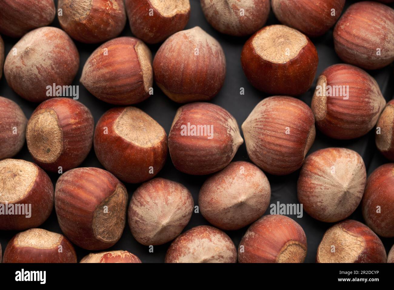 Whole hazelnuts nuts with shell close-up studio shot Stock Photo - Alamy