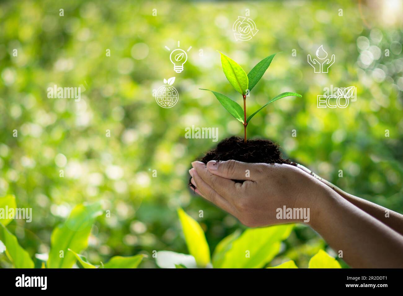 Global eco network hi-res stock photography and images - Alamy