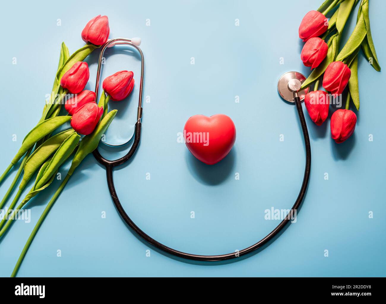 Stethoscope, tulips, on blue background. Greeting background. Happy ...