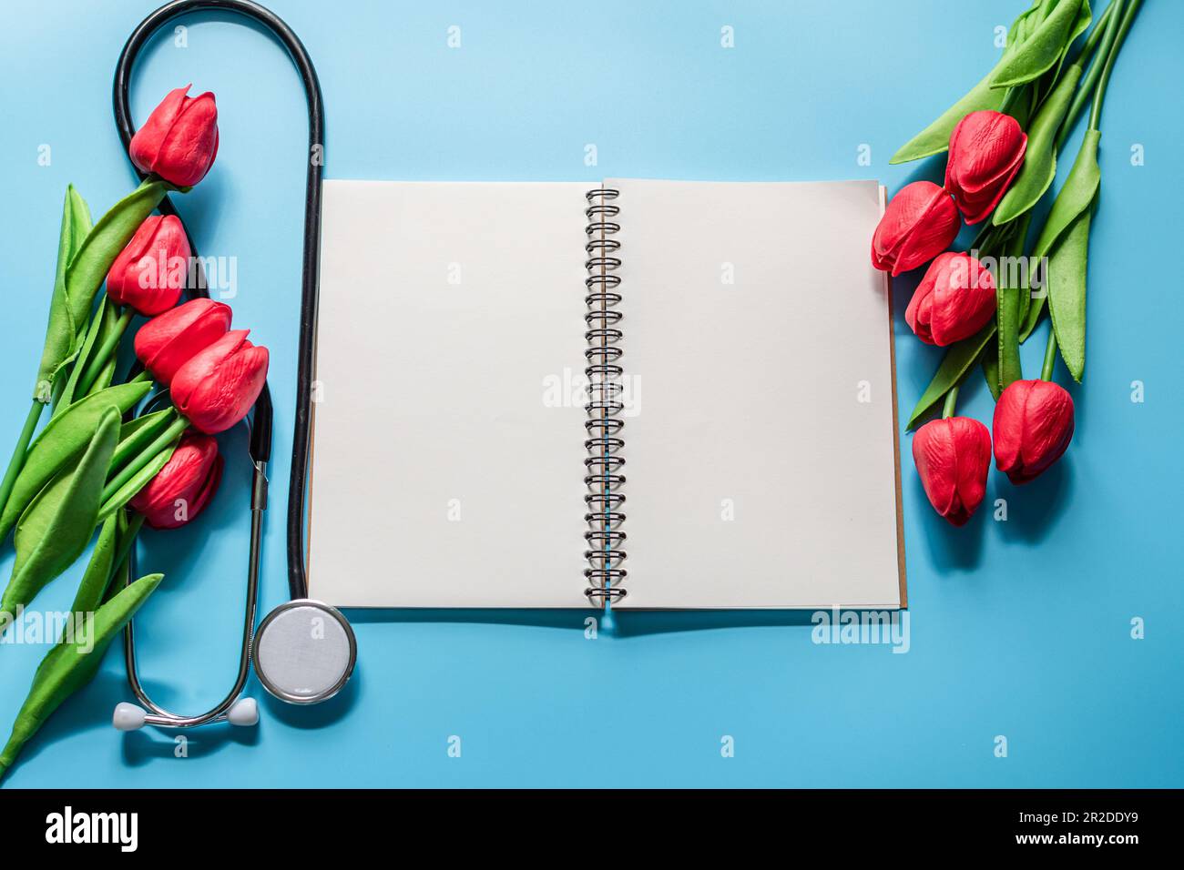 Stethoscope, tulips, notebook on blue background. Greeting background ...