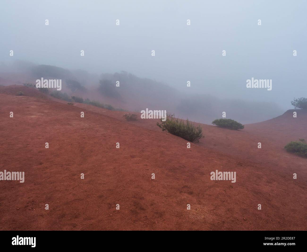Picturesque erosion red earth and sand hills desert landscape near the ...