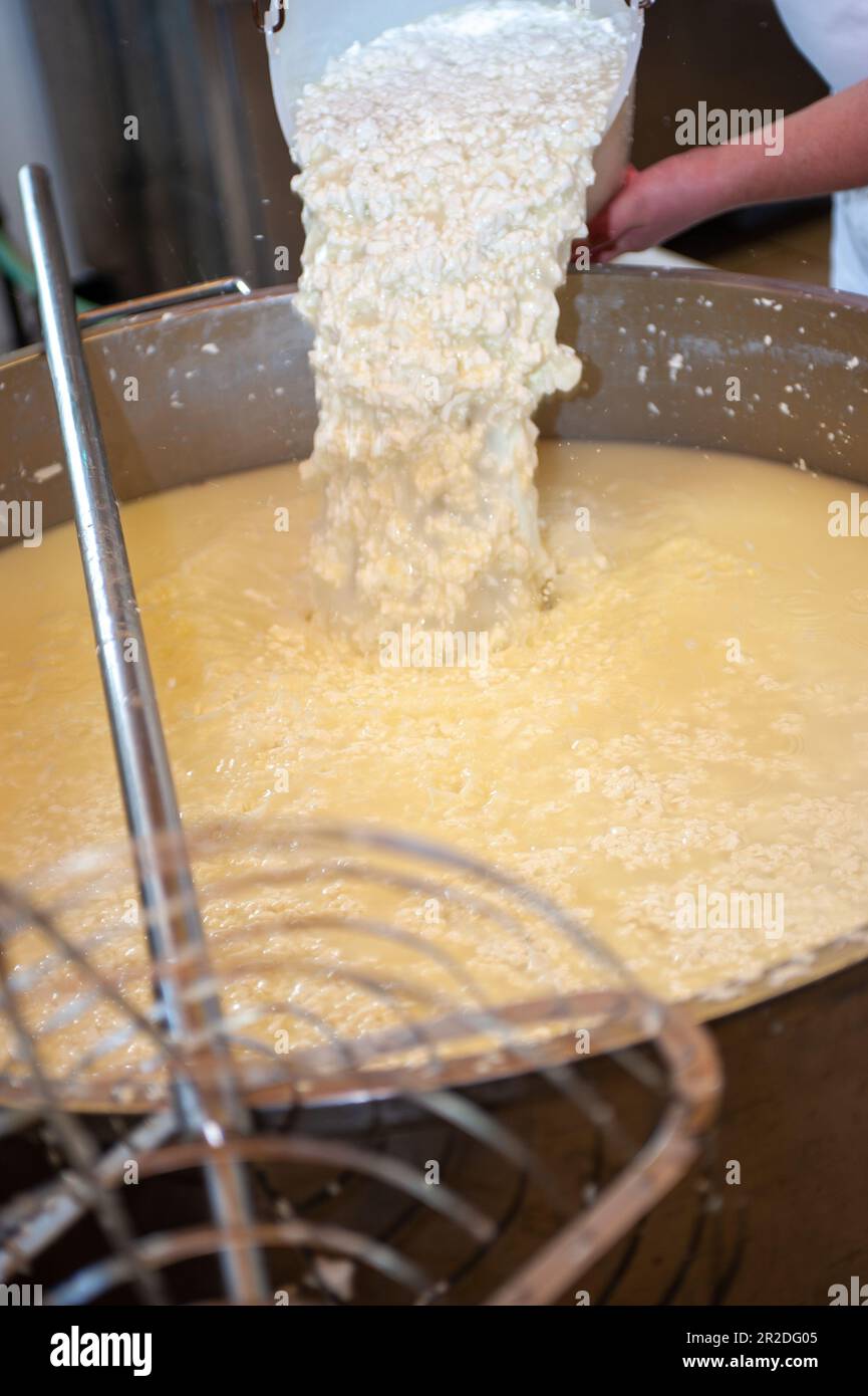 Cheesemaker cooking stirring italian bufalo organic milk in stainless ...