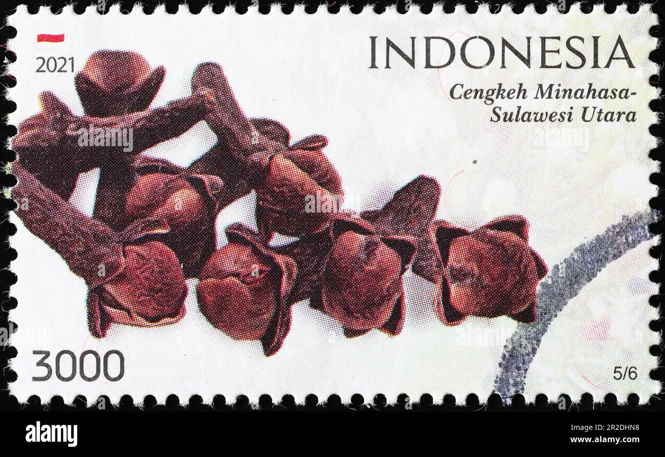 Indonesian cloves on postage stamp Stock Photo - Alamy