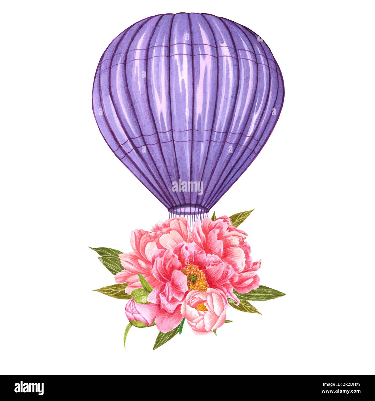 Watercolor purple hot air balloon with peony flowers. Hand painted ...