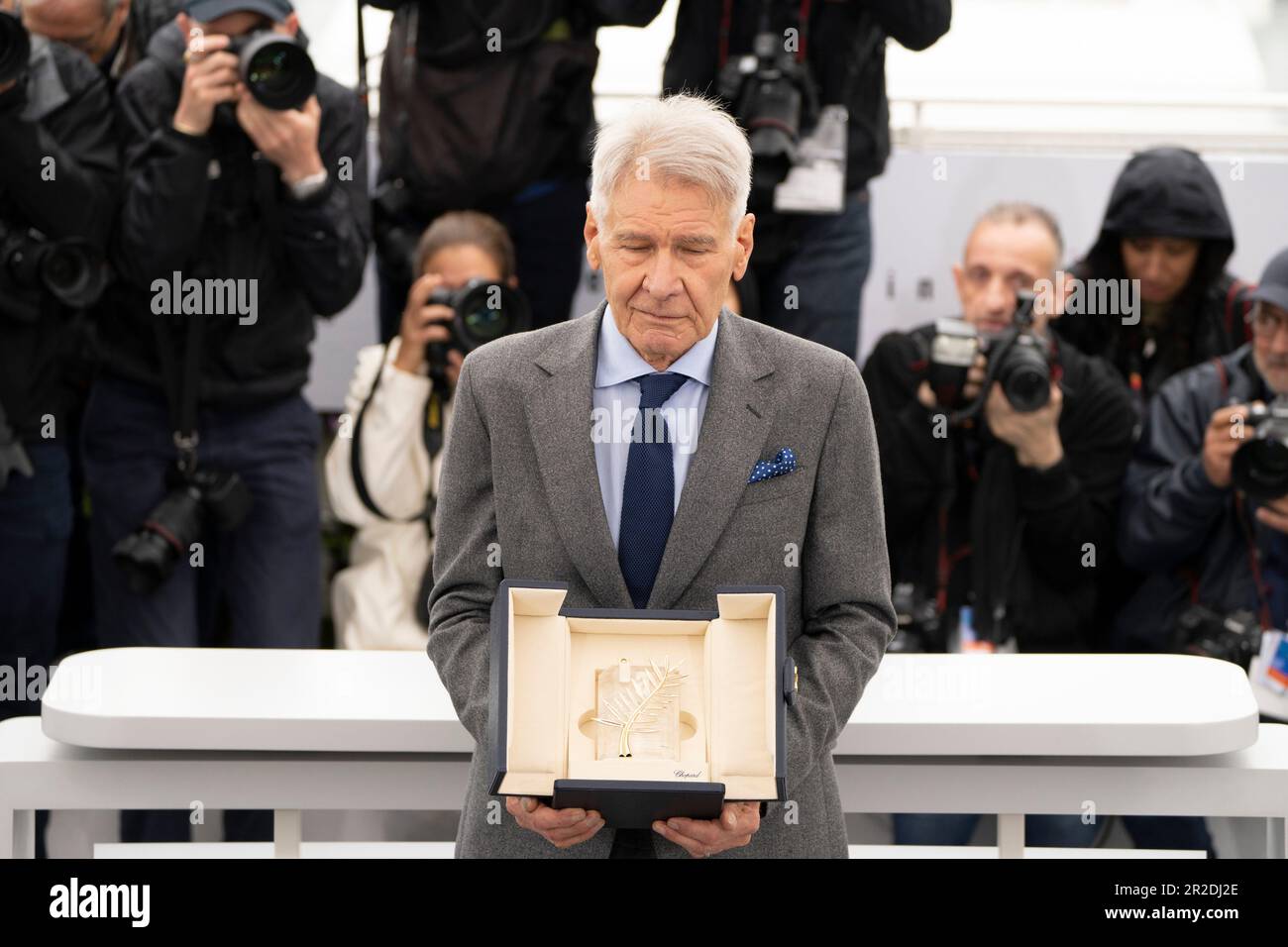 Harriso ford golden palm hi-res stock photography and images - Alamy