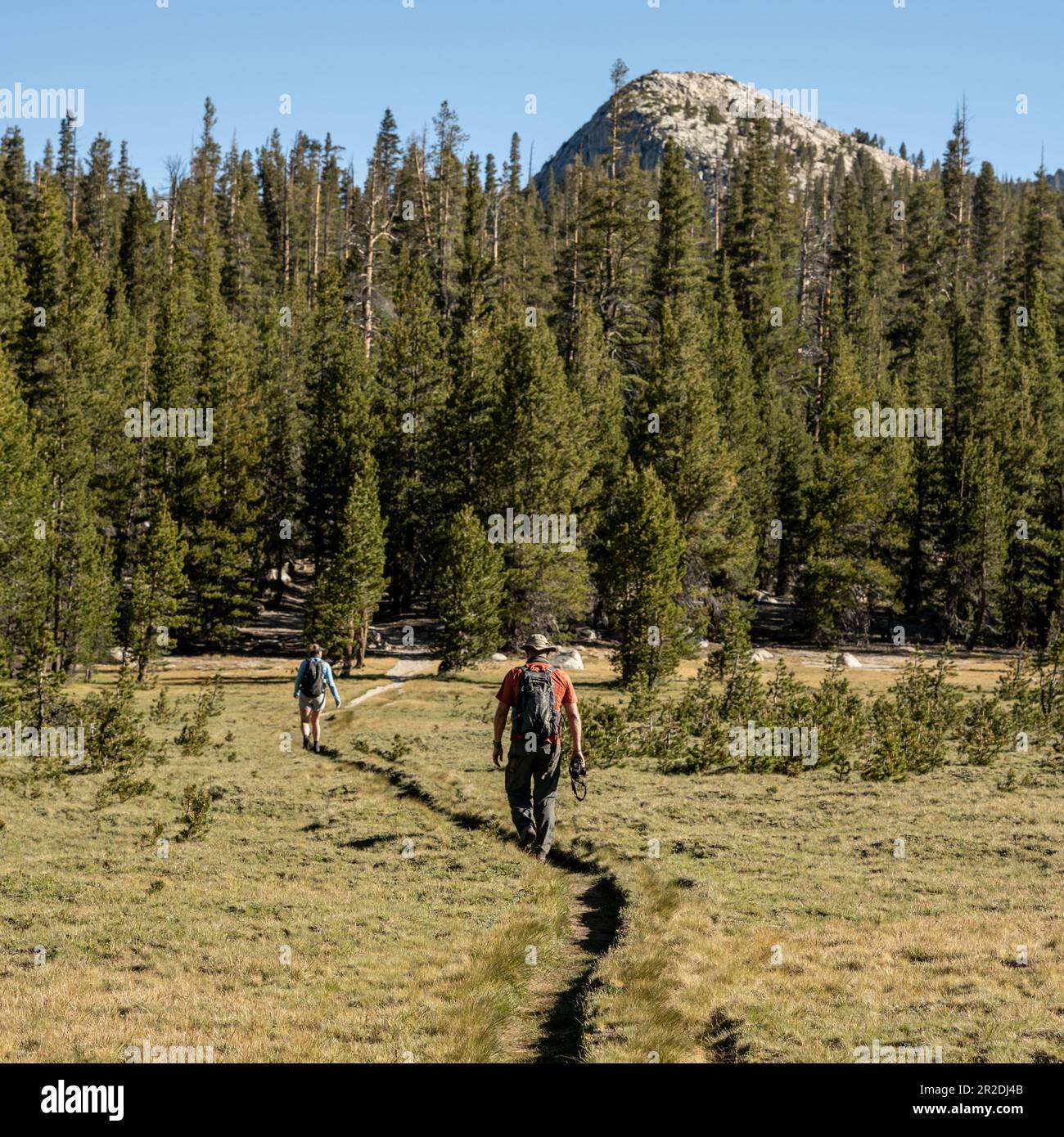 Hikers Traverse the Trail Toward Ragged Peak in Yosemite National Park ...