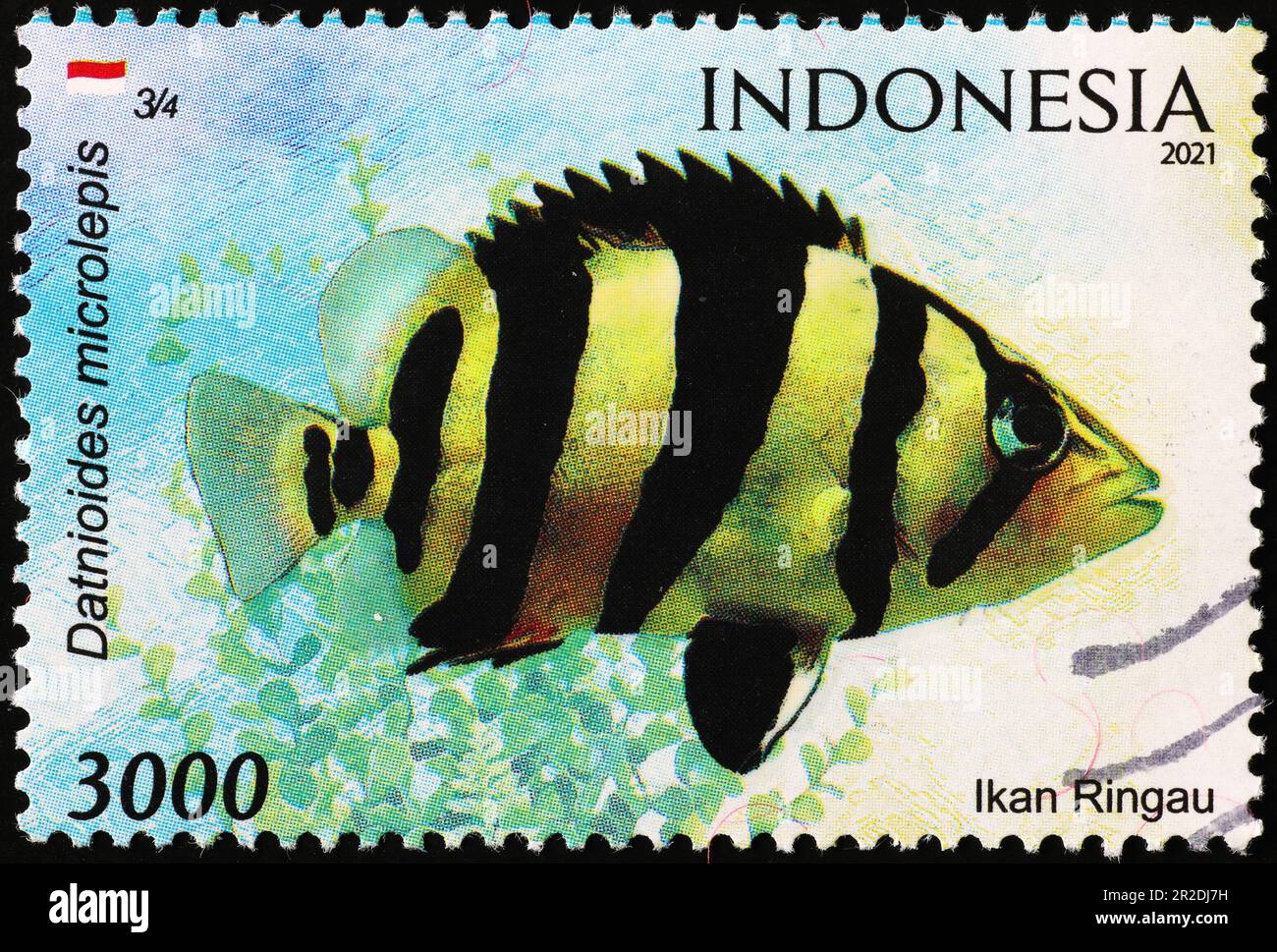 Striped tropical fish on indonesian stamp Stock Photo - Alamy