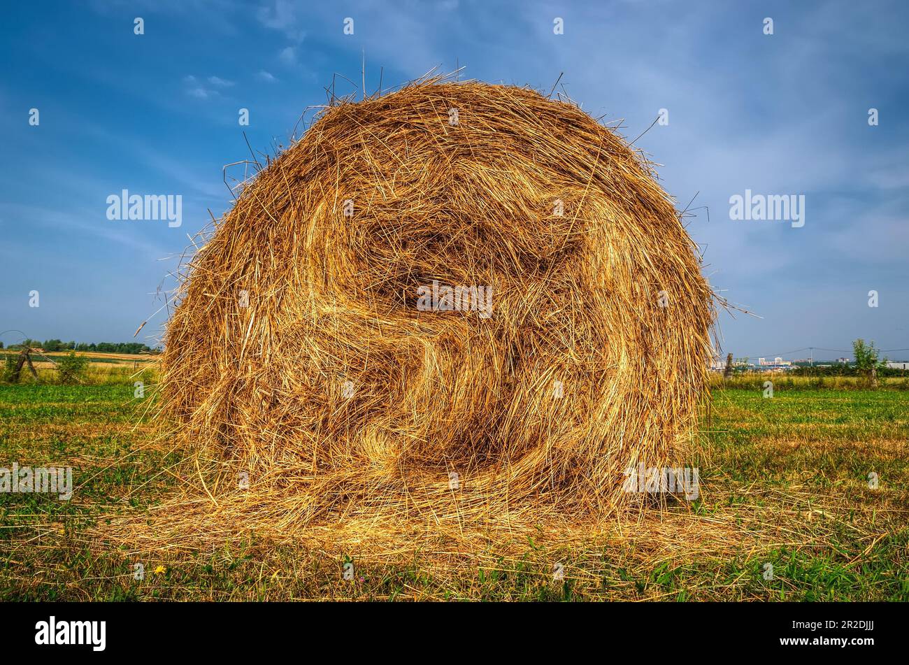 Haystack on the green field. Straw bale drying on a green grass in ...