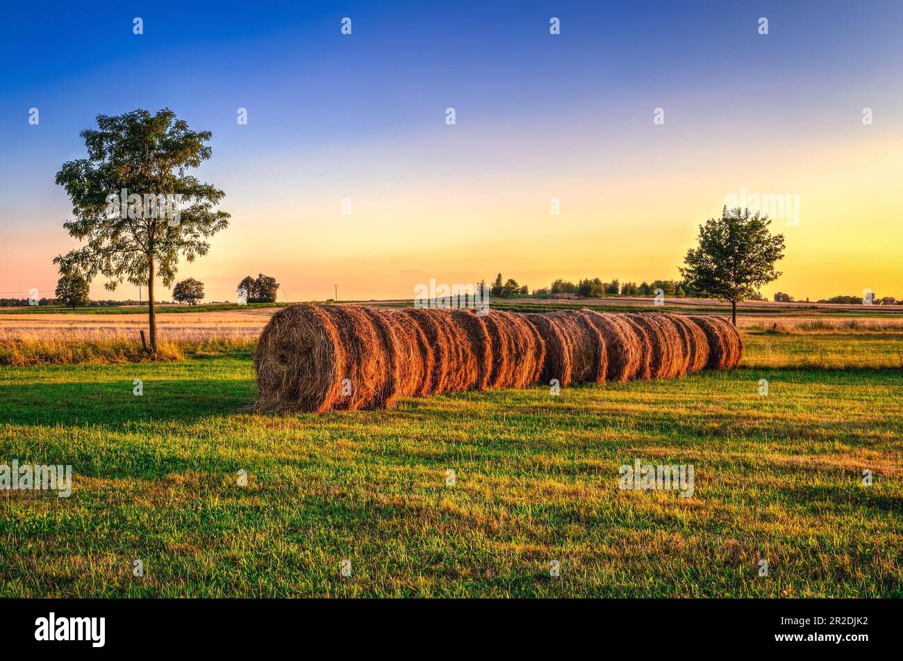Summer landscape. Haystacks on the field. Straw bales drying on a green ...