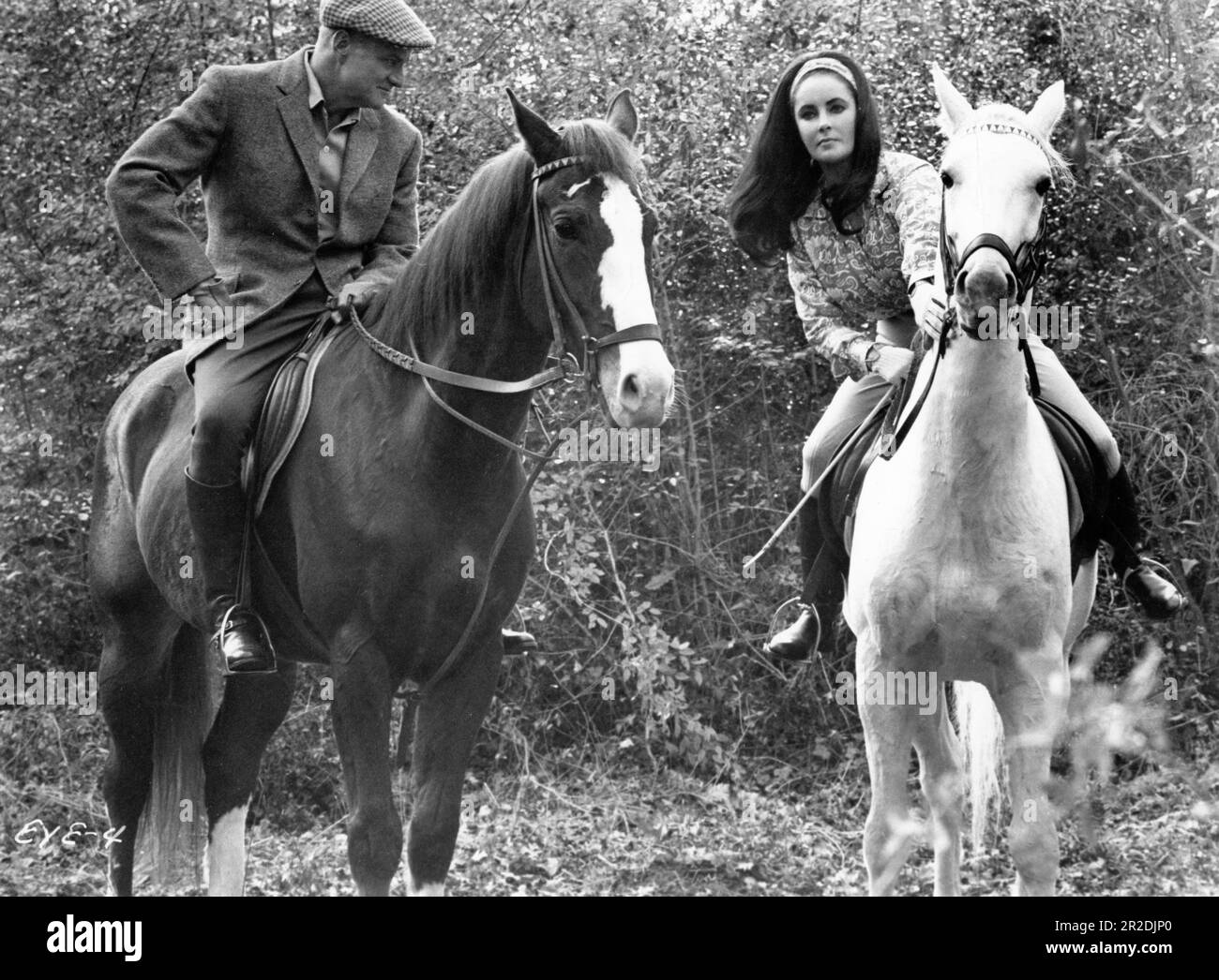 エリザベス・テイラーの映画「禁じられた情事の森」マーロン・ブランド主演！タブー視された性愛映画！ | 人生・嵐も晴れもあり！