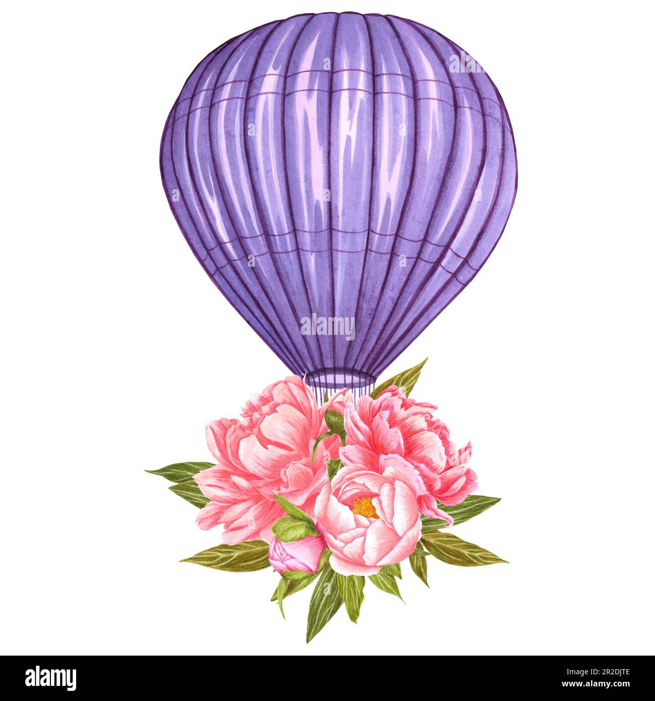 Watercolor purple hot air balloon with peony flowers. Hand painted ...