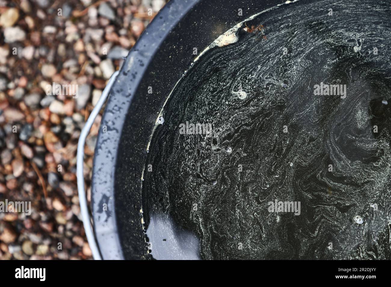 Seasonal weather, pollen floating on the water in a water bucket Stock ...