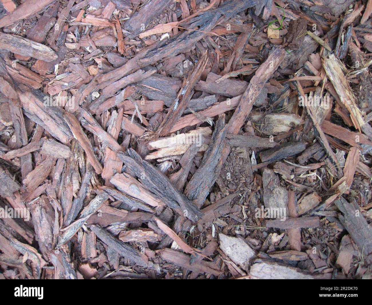 Bark pieces hi-res stock photography and images - Alamy