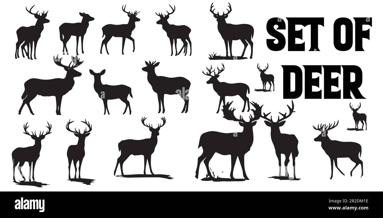 Deer drawing Cut Out Stock Images & Pictures - Alamy
