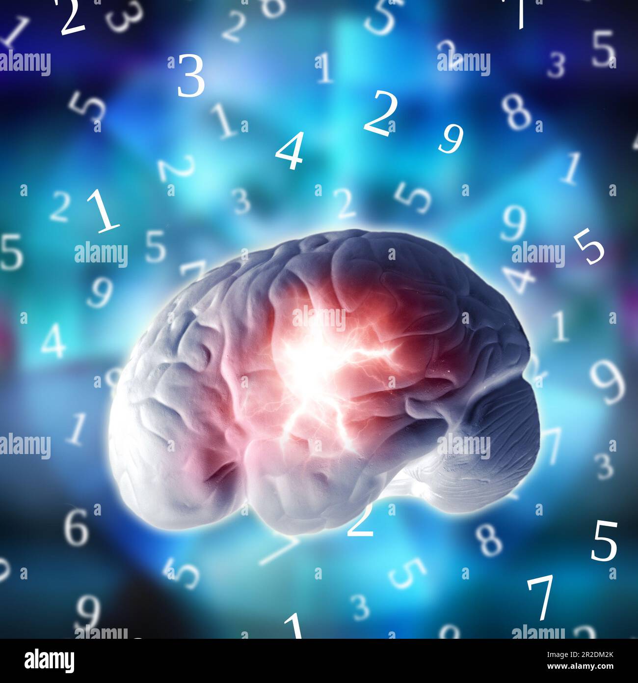 human brain and numbers Stock Photo - Alamy