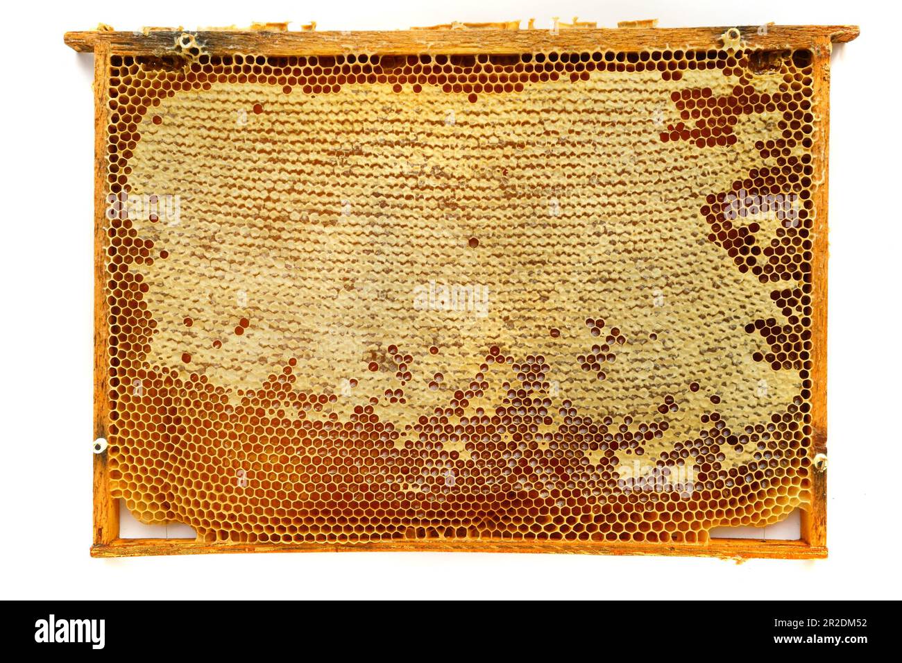 honeycomb full of honey in wooden frame isolated on the white ...