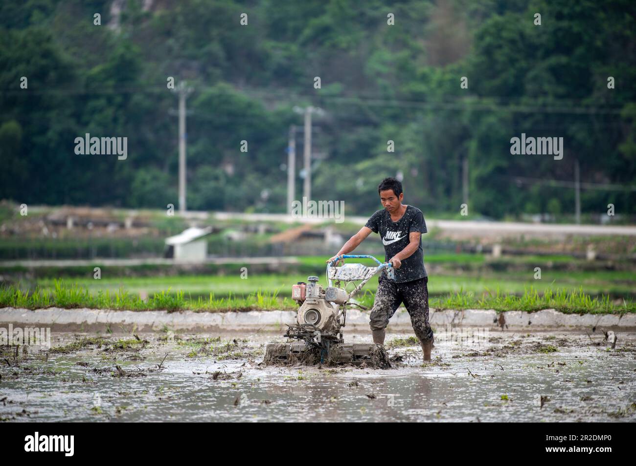 CONGJIANG, CHINA - MAY 19, 2023 - Photo shows farmers rake their fields ...