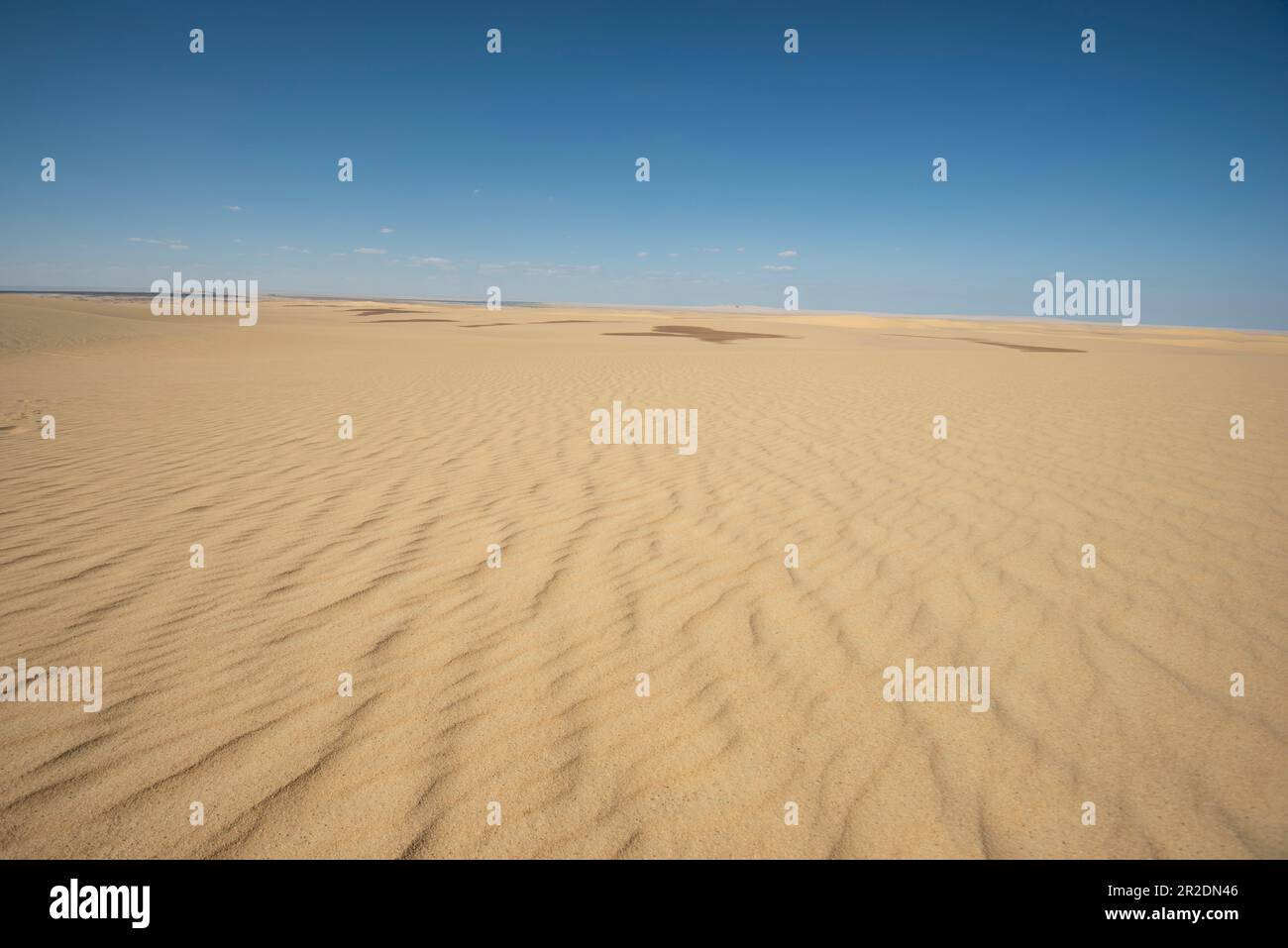 Landscape scenic view of desolate barren western desert in Egypt with ...