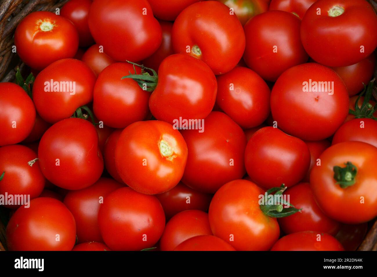 Nice market tomatoes hi-res stock photography and images - Alamy