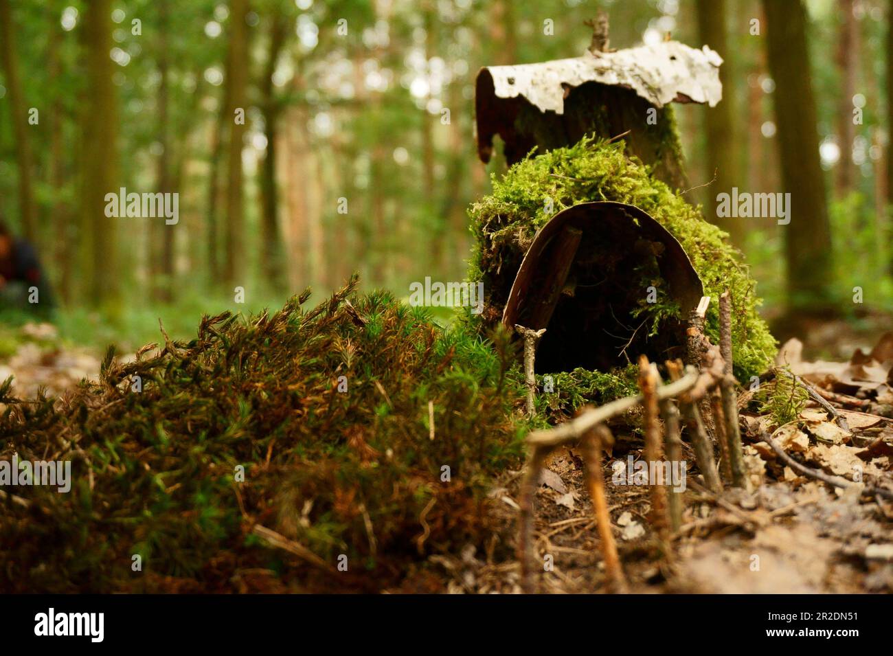 house from moss in the deep forest Stock Photo - Alamy