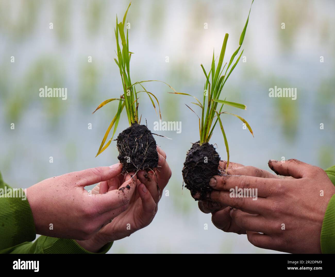 19 May 2023, Brandenburg, Fehrbellin/Ot Linum: Managing director Wiebke Fuchs (l) and operations ...