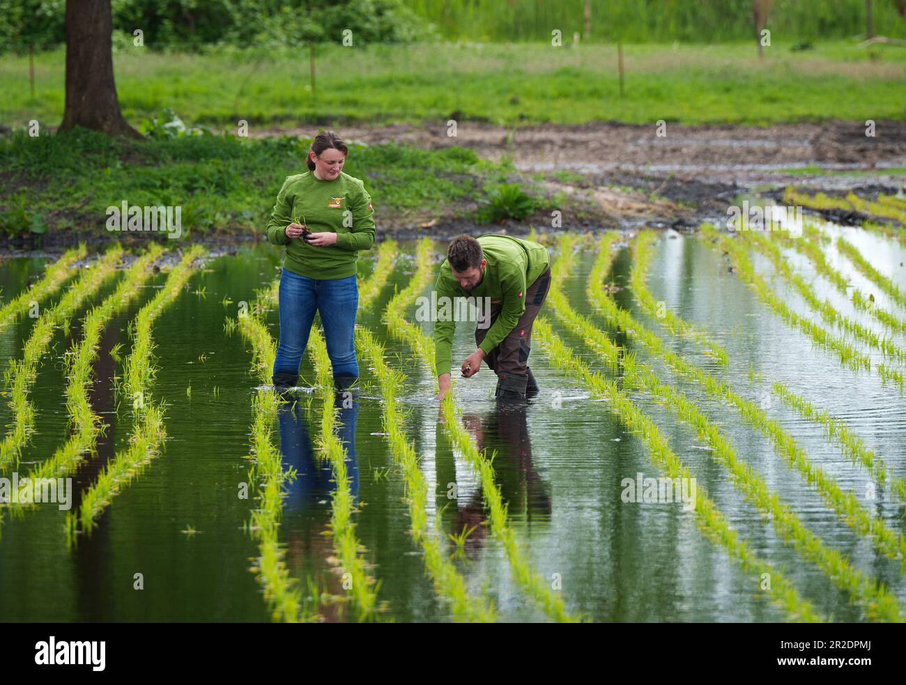 19 May 2023, Brandenburg, Fehrbellin/Ot Linum: Managing Director Wiebke ...
