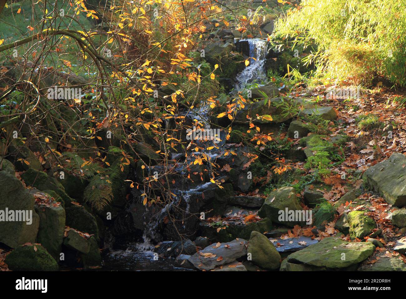 Brooklet hi-res stock photography and images - Alamy