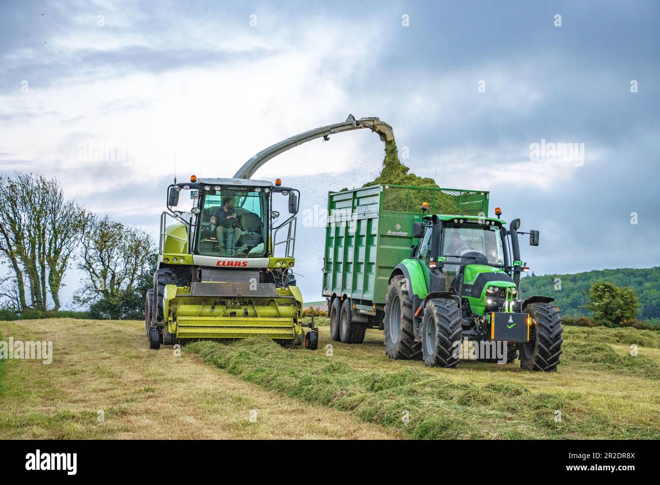 Finbarr McCarthy picking up grass silage near Kilbrittain, Co. Cork ...