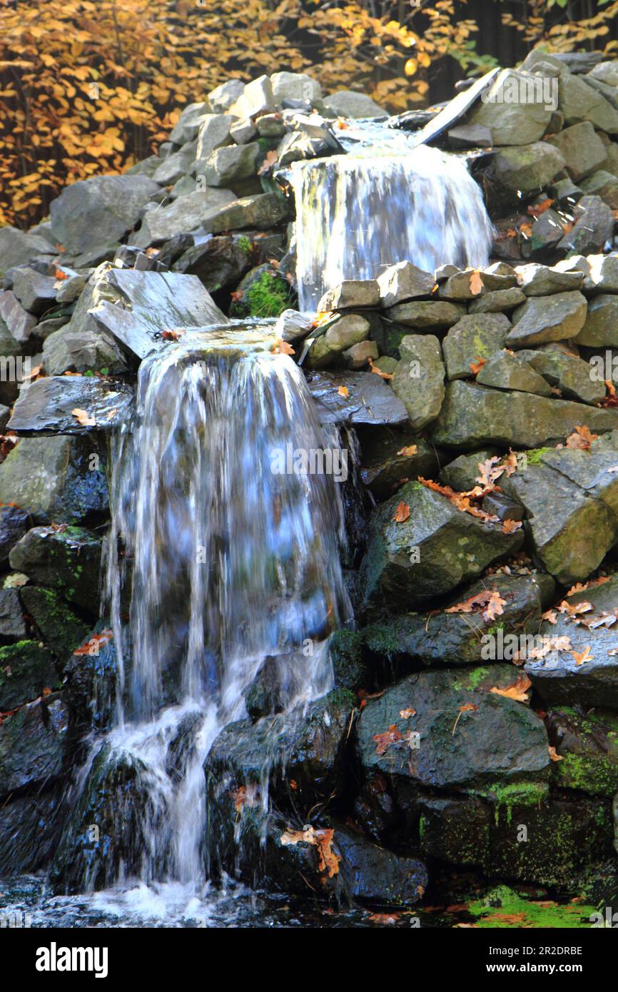 Brooklet hi-res stock photography and images - Alamy